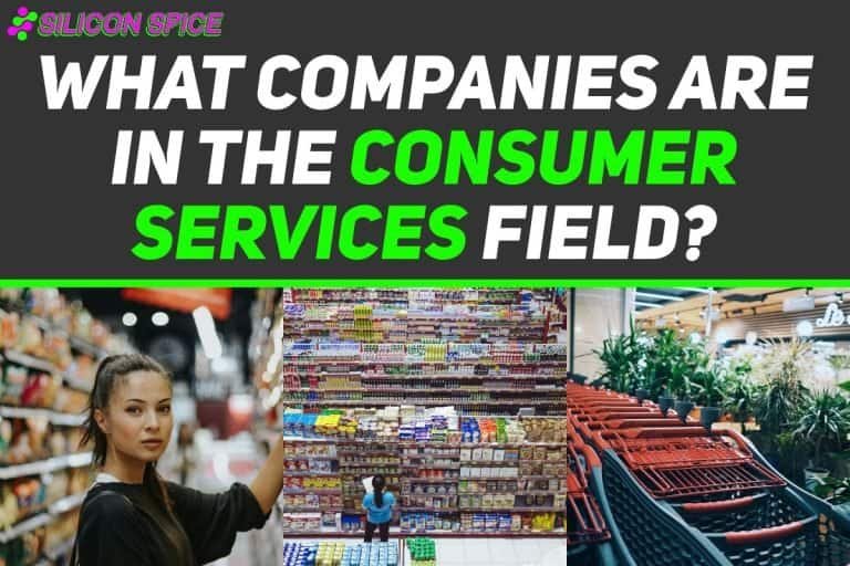 What Companies are in the Consumer Services Field? An Industry Overview