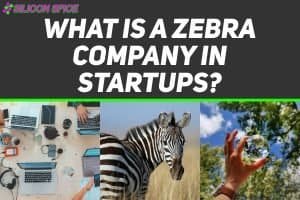 What is a Zebra Company in Startups? Exploring a Sustainable Alternative
