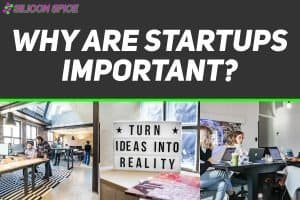 Why Are Startups Important? Uncovering Their Impact on the Economy