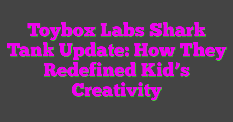 Toybox Labs Shark Tank Update: How They Redefined Kid's Creativity